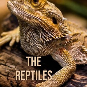 The Reptiles - Rotten Tomatoes