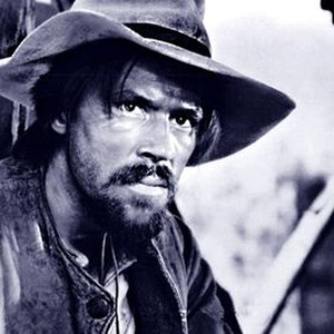The Stranger Returns - Rotten Tomatoes
