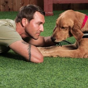Lucky Dog - Rotten Tomatoes