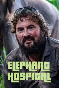 Elephant Hospital: Season 1 | Rotten Tomatoes