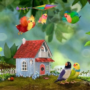 3rd & Bird - Rotten Tomatoes