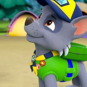 PAW Patrol: Season 1, Episode 22 - Rotten Tomatoes