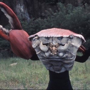 Zebraman - Rotten Tomatoes