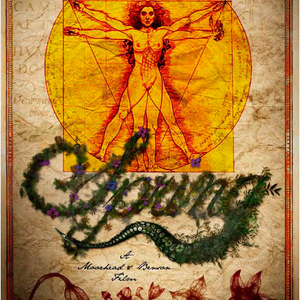 Spring - Rotten Tomatoes