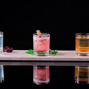 Drink Masters - Rotten Tomatoes