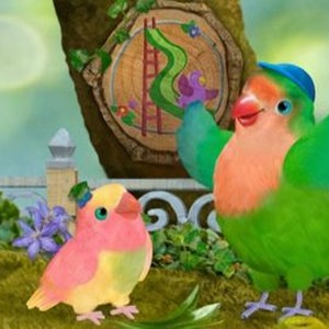 3rd & Bird: Season 1, Episode 7 - Rotten Tomatoes