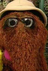 Sesame Street: Season 31, Episode 29 | Rotten Tomatoes
