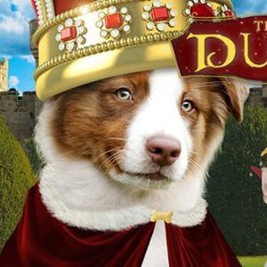 The Duke - Rotten Tomatoes