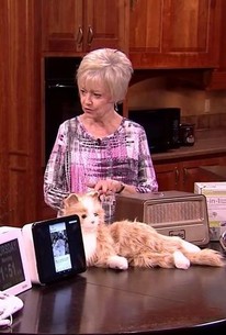 Creative Living With Sheryl Borden: Season 48, Episode 23 - Rotten Tomatoes