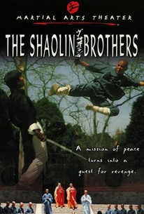 Shaolin Brothers | Rotten Tomatoes