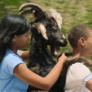 Bad Lucky Goat - Rotten Tomatoes
