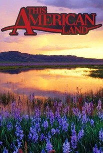 This American Land | Rotten Tomatoes
