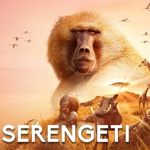 Serengeti: Season 3, Episode 6 - Rotten Tomatoes
