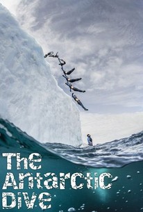 The Antarctic Dive | Rotten Tomatoes