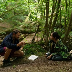 Here - Rotten Tomatoes