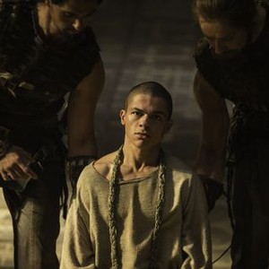 Reece Noi - Rotten Tomatoes