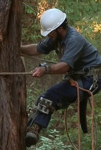 Deadliest Job Interview Season 1 Episode 2 Rotten Tomatoes