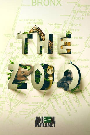 The Zoo Season 1 | Rotten Tomatoes