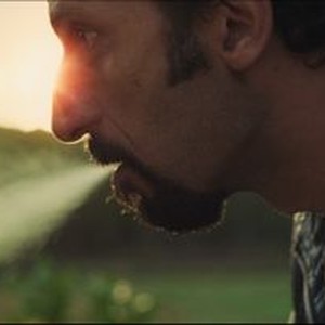 Ghabe - Rotten Tomatoes