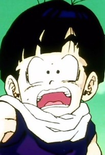 Dragon Ball Z: Season 2, Episode 64 | Rotten Tomatoes