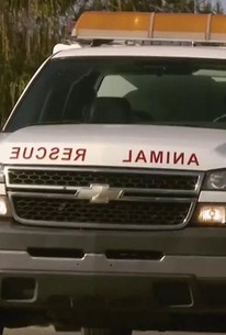 Animal Cops: Detroit: Season 15, Episode 8 | Rotten Tomatoes