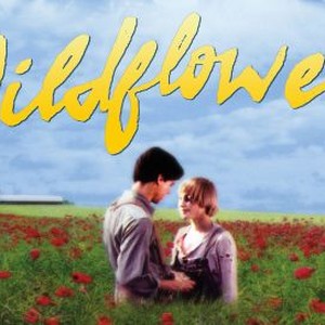 Wildflower - Rotten Tomatoes