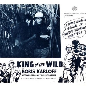 Rotten Tomatoes: Movies | TV Shows | Movie Trailers | Reviews - Rotten ...