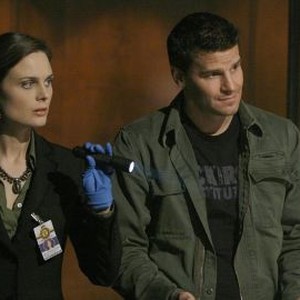 Bones - Rotten Tomatoes