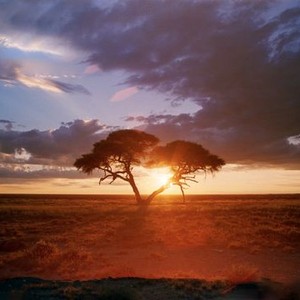 Sacred Planet - Rotten Tomatoes