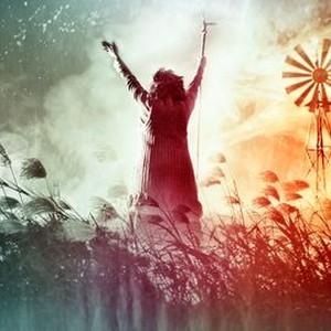 The Field - Rotten Tomatoes