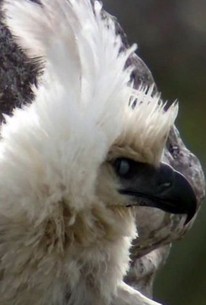 Secret Life of Predators: Season 1, Episode 1 | Rotten Tomatoes