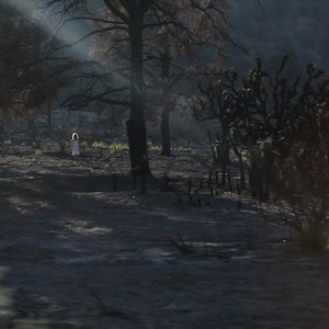 Absence - Rotten Tomatoes