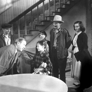 Irving Bacon - Rotten Tomatoes