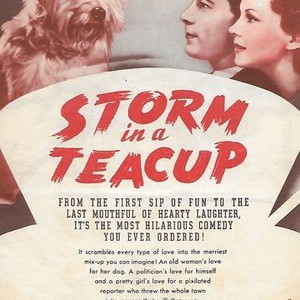 Storm in a Teacup - Rotten Tomatoes