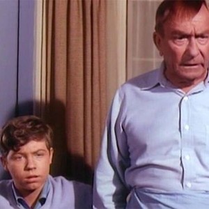 My Three Sons: Season 7, Episode 13 - Rotten Tomatoes