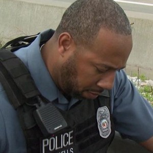 Cops: Season 28, Episode 10 - Rotten Tomatoes