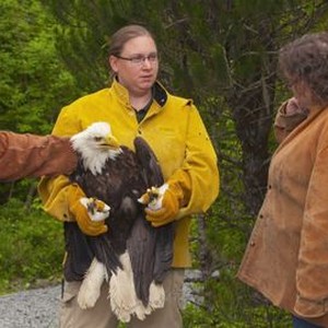 Alaska Animal Rescue - Rotten Tomatoes