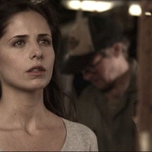 The Return - Rotten Tomatoes