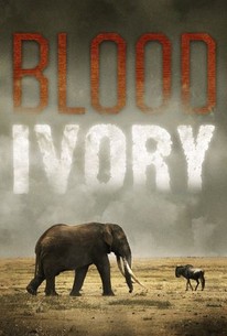 Blood Ivory | Rotten Tomatoes