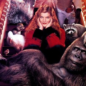 Buddy - Rotten Tomatoes