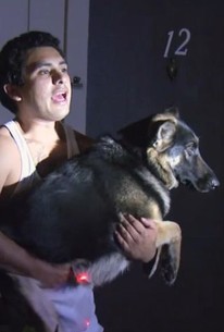 Cops: Season 28, Episode 1 | Rotten Tomatoes