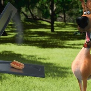 Marmaduke - Rotten Tomatoes