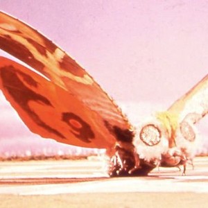 Mothra - Rotten Tomatoes