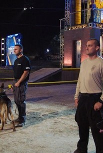 Top dog: Season 2, Episode 1 | Rotten Tomatoes