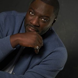 The Fix - Rotten Tomatoes