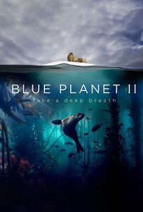 Blue Planet II | Rotten Tomatoes