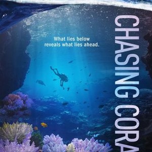 Chasing Coral - Rotten Tomatoes