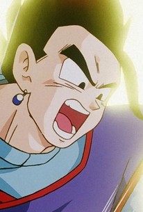 Dragon Ball Z: Season 9, Episode 264 | Rotten Tomatoes