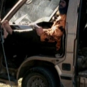 Minginui - Rotten Tomatoes