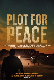Plot for Peace | Rotten Tomatoes